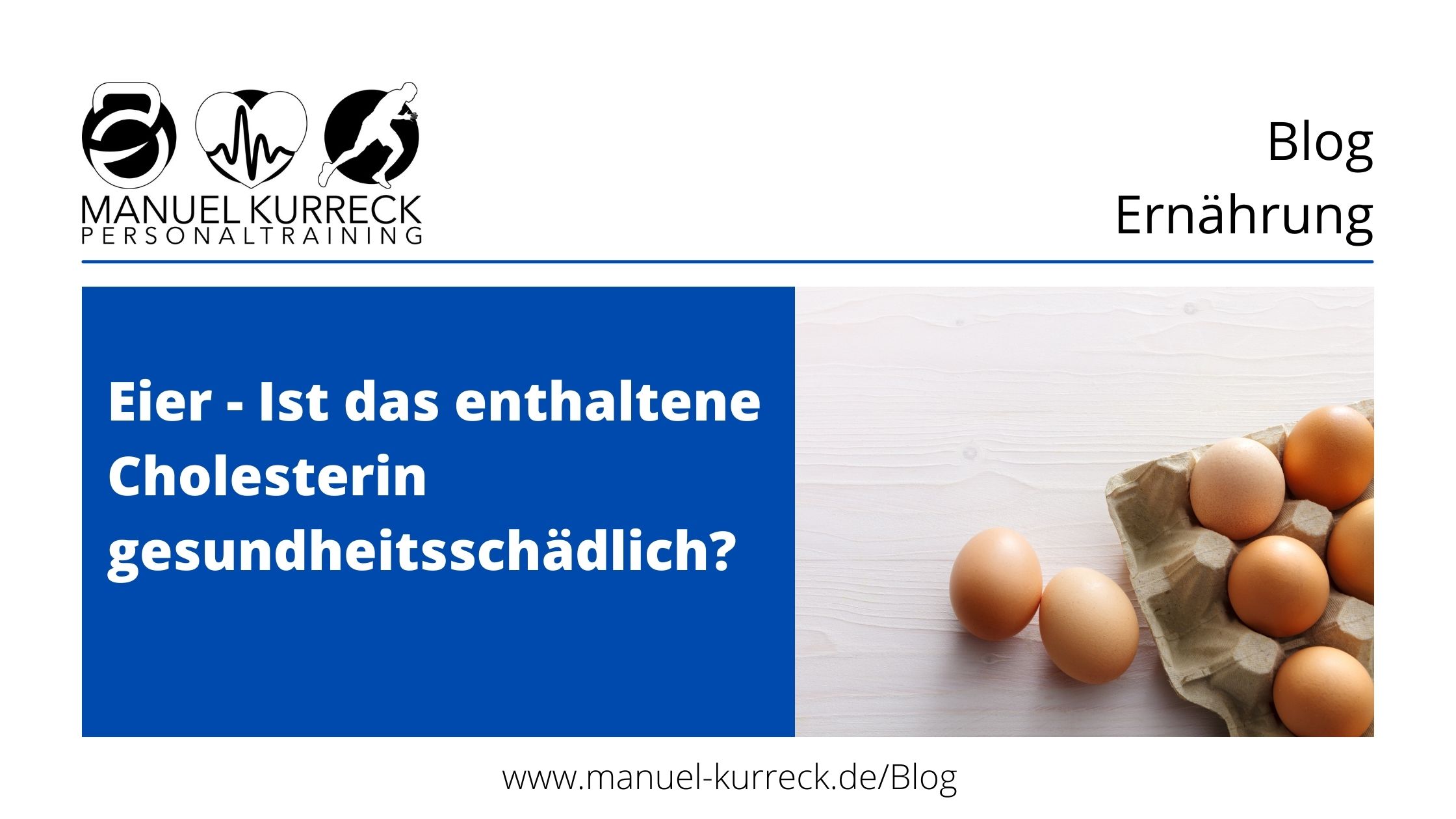 Eier - Ist das enthaltene Cholesterin gesundheitsschädlich?